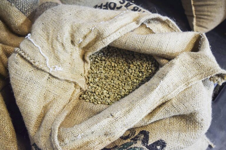 Brew Haven – Crafted Coffee, Welcoming Vibes